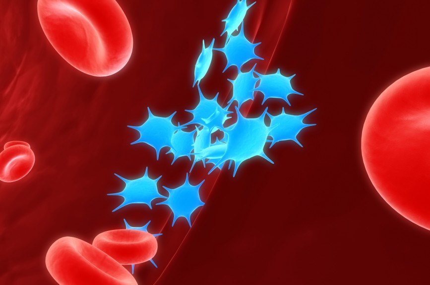 Haute Autorité de Santé - Transfusion de plaquettes : produits, indications